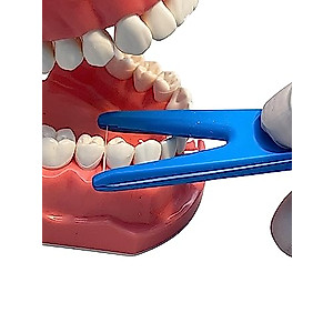 E-Z Floss Dental Floss Holder (Blue, Yellow, Green)