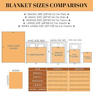 Custom Airplane Baby Blanket Soft Flannel Fuzzy Warm Plush Lightweight Throw for Bed Couch Sofa Camping Good Gift for Kid Boy Girl Teen 30''x 40'' for Pets