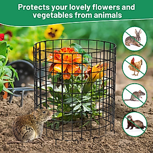 Keten 5 Pack Plant Protector from Animals, 15pcs Metal Mesh to Keep Animals Out, 13.7'' Dia x 13.7'' H Plant Cages, Garden Protection Bunny Barricades from Chicken Squirrels for Flowers & Vegetables
