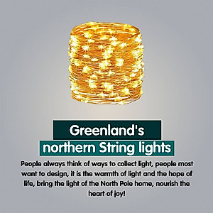 Yeaheo LED String Lights, Fairy Lights 50LED 16.4FT,Copper Wire Fariy Lights,with Battery Operated Waterproof 8 Modes Remote Control,for Bedroom,Wedding,Party,Room Decor (Warm White 16.4FT 50LEDS)