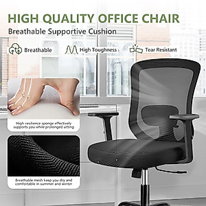 Winrise Office Chair, Ergonomic Home Office Desk Chairs, Breathable Mesh Comfortable Work Chair Adjustable 2D Armrests, Rocking Executive Chair, Swivel Task Chair with Lumbar Support (Black)
