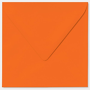 Stuff4 Funny Birthday Cards for Husband - Look Up From Your Phone - Joke Happy Birthday Card for Husband from Wife Partner, Hubby Birthday Gifts, 5.7 x 5.7 Inch Humor Greeting Cards