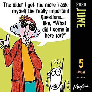 2020 Maxine Daily Desktop Calendar