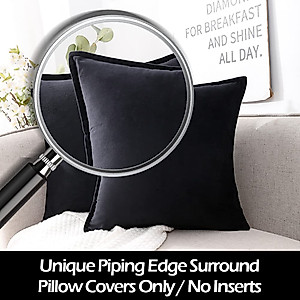 CARRIE HOME Black Velvet Throw Pillow Covers 18x18 Set of 2 Super Soft Black Pillows Decorative Throw Pillows for Couch Sofa and Living Room