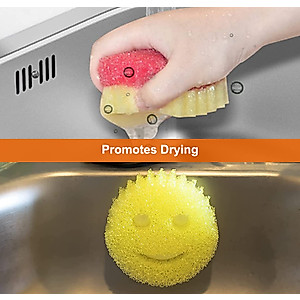 Self-Draining Sponge Holder with Suction Cup Installation, Sponge Organizer for Bathroom and Kitchen Sink, Dishwasher Safe Sponge Storage for Smiley Round Sponges (No Sponges Included) 1-Pack