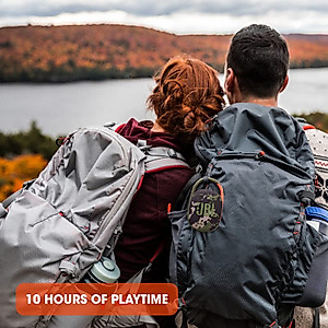 JBL Clip 4 - Portable Mini Bluetooth Speaker, big audio and punchy bass, integrated carabiner, IP67 waterproof and dustproof, 10 hours of playtime, speaker for home, outdoor and travel - (Pink)