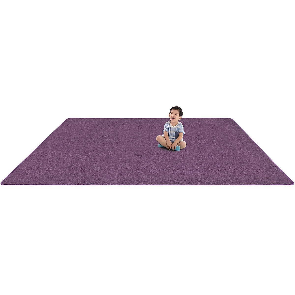 Joy Carpets Endurance Solid Colored Area Rug in Color Purple, 12' x 6'