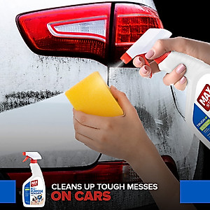 All Purpose Paint Remover Spray 22oz - Water Based Adhesive Remover Spray, Spray Paint Remover, Graffiti Remover Spray, Overspray Remover, Dried Paint Remover - No Methylene Chloride NMP Formula