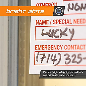 300 Recycling Sticker - 2 x 3 Inches Recycle Sticker for Trash Can Garbage Containers Recycling Bin Labels Stickers, Bright Green, Adhesive Weather Resistant - 1 Roll of 300 Labels