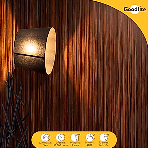 Goodlite A23 LED Light Bulb 27 Watt (225 Watt Equivalent) - Dimmable, High Output 4000 Lumens, Warm White 3000K (30K), Indoor and Outdoor, UL Listed, Long Lasting 10,000 Hours, 1 Count (G-20205)