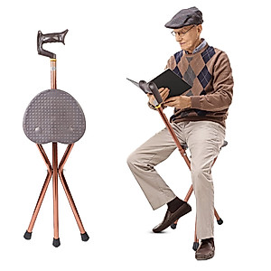 Seat Walking Stick, Metal Walking Stick Chair Portable Folding, Seat Stool Travel Cane Chair for Elderly, Fishing Garden Camping Event Stool