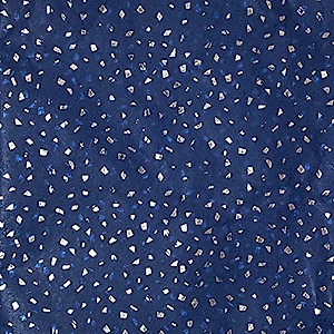 Made in USA 50-Sheet Hot Stamp Glitter Gift Tissue Paper Pack, 20" X 30" (Silver on Blue)