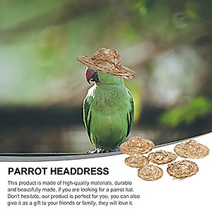 balacoo 6pcs Parrot Birds Straw Woven Hat Funny Mini Size Bamboo Hat Cockatiel Parakeets Canary Conure Party Head Wear for Parrot Parakeet Bearded Dragons