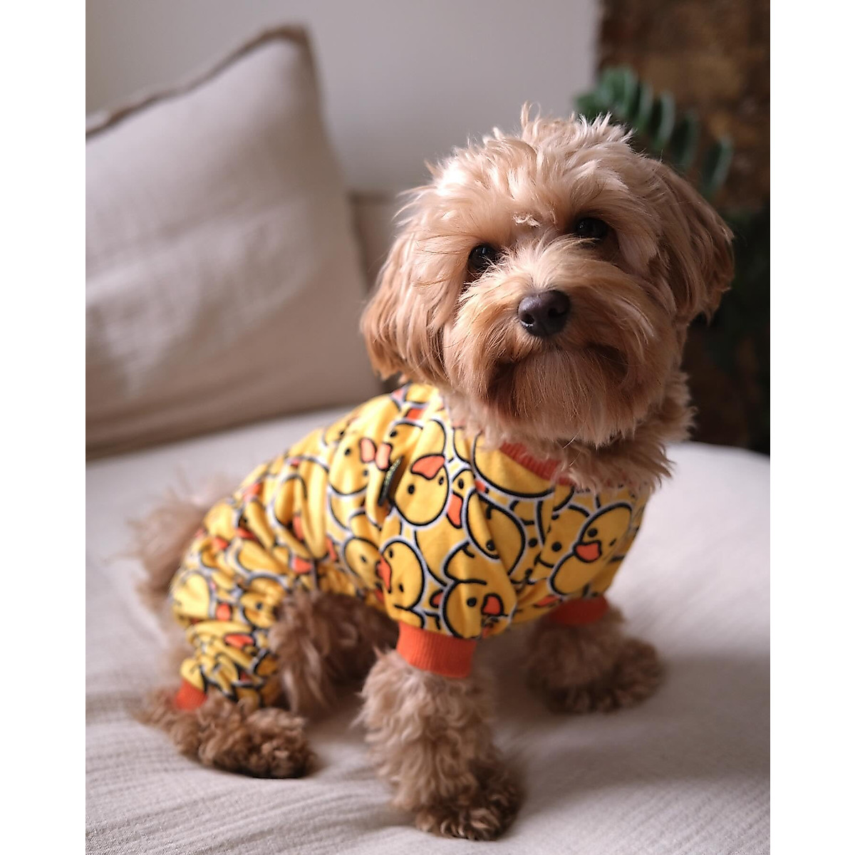 Fitwarm Funny Duck Dog Pajamas, Dog Winter Clothes for Small Dogs Girl, Lightweight Velvet Pet Jumpsuit, Cat Onesie, Yellow, Medium