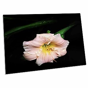 3dRose Pink Day Lilly with Green stalks - Desk Pad Place Mats (dpd-336441-1)