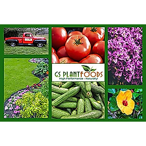 Green Envy Liquid Lawn Food / Fertilizer Concentrate for Any Grass Type (1 Gallon), Turf Care & Healthy Grass