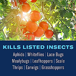 BioAdvanced Organics Brand Insecticidal Soap, Ready-to-Use, 24 oz