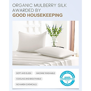 THXSILK 100% Silk Pillowcase for Hair and Skin, Both Sides Grade 6A+ 22 Momme Mulberry Silk Pillow Case with Hidden Zipper, Soft & Smooth White Pillowcase(1pc, Queen Size 20"x30")