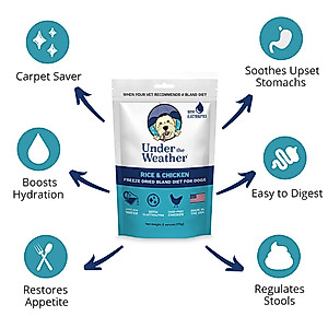 Under the Weather Bland Diet for Dogs | Easy to Digest for Sick Dogs | Always Be Ready | Contains Electrolytes - All Natural Freeze Dried 100% Human Grade Meats | 6 Pack - Multiflavor - 6oz