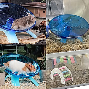 2 Pack Rat Flying Saucer Exercise Wheel & Wood Bridge Rainbow Climb - Durable ABS Plastic Running & Jogging Running Silent Spinner - for Mouse Hedgehog Chinchilla Pets Mice Hamsters Gerbil Cage Toy