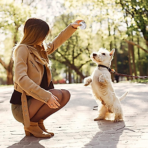 Mozeat Lens 6 Pcs Scent Training for Dogs Scent Work for Dogs Dog Scent Training Equipment Box Dog Nose Metal Container Smell Aluminum Cans Nosework Tins Scent Work Container