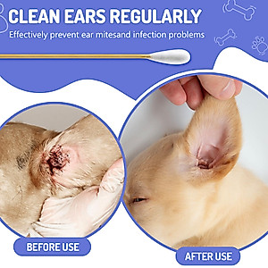 Accesfire 200pcs Large Cotton Swabs in Storage Box, 6 Inch Long Cotton Swabs with Bamboo Handle for Dogs - Professional Dog Ear Swabs, Big Cotton Swabs, Specially Designed for Dogs, Cleaning Solution