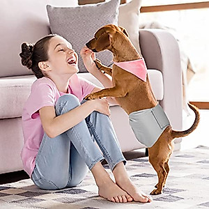 Avont 3 Pack Washable Dog Diapers Male (S 10"-12"), Reusable Male Dog Wraps, Highly Absorbent Belly Bands Pee Wrap for Boy Doggie -Black/Brown/Grey