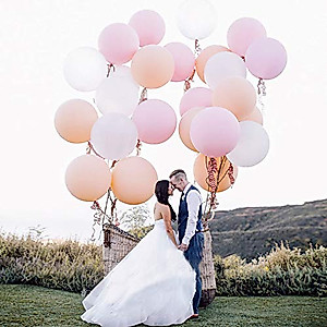 18 inch Pastel Balloons for Parties 10 pcs Macaron Latex Balloons for Birthday Wedding Engagement Anniversary Christmas Festival Picnic or any Friends & Family Party Decorations-pastel pink