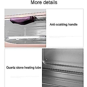 Mini Electric Oven Home Multifunctional Baking Oven Trifle Bread Hob Grill Home Small Baking Cake Pizza Oven 9L Mini Ovens (Color : Pink) (Black) (Pink)