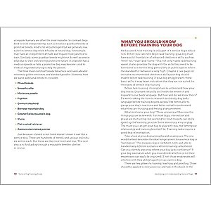 Service Dog Training Guide: A Step-by-Step Training Program for You and Your Dog