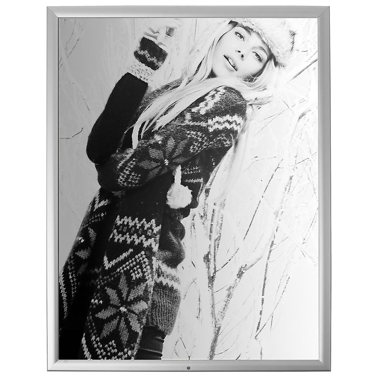 Displays2go Outdoor Frame for 22"x28" Posters or Advertisements, Locking, Weatherproof and Rustproof, Silver Aluminum