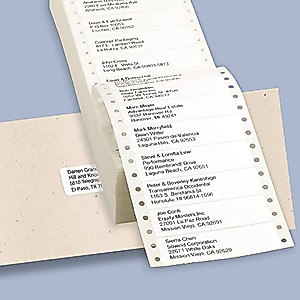 Avery Dot Matrix Printer Address Labels, 15/16" x 3 1/2", White, 5,000 Customizable Blank Labels (4013)