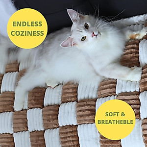 Cattasaurus Pet Couch Cover, Washable Sofa Protector for Cats & Dogs, Pet-Friendly Couch Mat for Cats & Dogs Up to 120lbs (Large, Blue Grey)