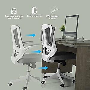 Eognyzie Home Office Desk Chairs with Ergonomic Adjustable Back Support, Mesh Computer Gaming Chair with Adjustable Ergonomic Lumbar Support for Home Office Work