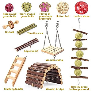 DAMPET Hamster Toys,12 Pack Guinea Pig Chew Toys and Accessories for Hamster Cage,Natural Wooden Guinea Pig Hideout and Timothy Stick Apple Wood for Hamster,Guinea Pig,Rats,Chinchilla,Gerbils,Mice