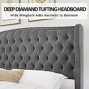 AMERLIFE Queen Size Platform Bed Frame, Velvet Upholstered Bed with Deep Button Tufted & Nailhead Trim Wingback Headboard/No Box Spring Needed/Grey