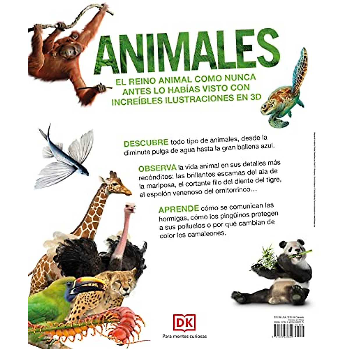 Animales (Knowledge Encyclopedia Animal!): El reino animal como nunca lo habías visto (DK Knowledge Encyclopedias) (Spanish Edition)