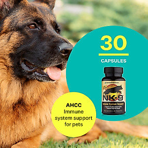 American BioSciences NK-9, AHCC Supplement for Dogs & Cats - Dietary Supplement to Support Immune System - Made for Pet's Immune Defenses - 30 Capsules, 250mg/capsule