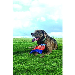 Chuckit! Flying Squirrel Spinning Dog Toy, Large (Orange/Blue), Multi Colored, for Medium breeds