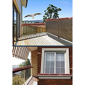 Bird Spikes, Bird Deterrent Spikes for Small Birds Pigeon Squirrel Raccoon Cats Crow Bird Repellent Spikes for Outside to Keep Birds Away