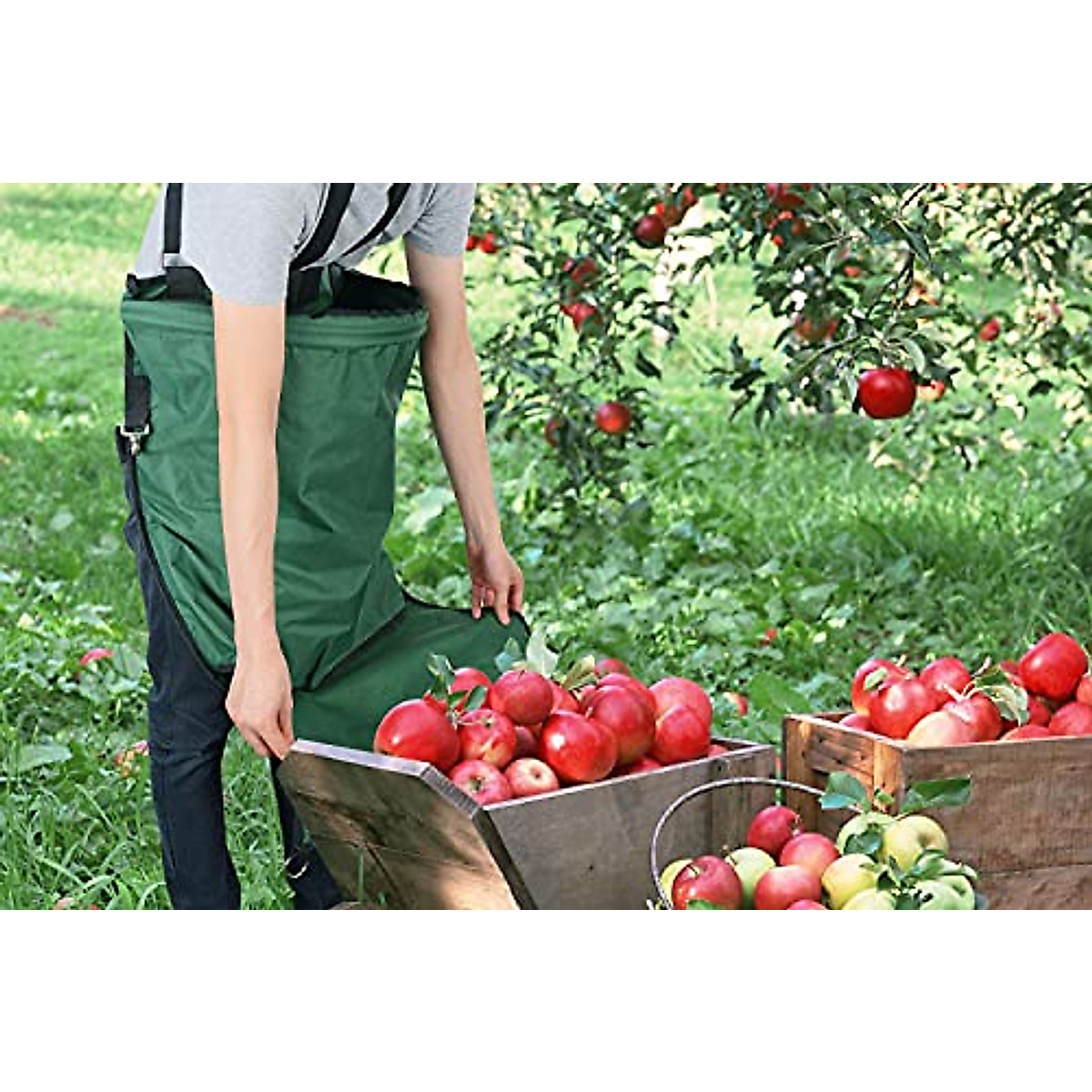 HANZIUP Large Fruit Picking Bag, Adjustable Harvest Garden Apron Storage Pouch for Harvesting Vegetables Big Fruits Apple Mango Pear Peach Mango Kiwi Lemon Cherry