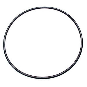 Pro-Parts 2Pcs 87300400 Body O-Ring Replacement for Pentair Pool and Spa Filter
