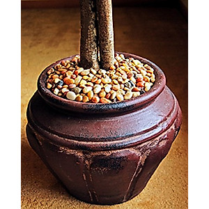 Mosser Lee ML1121 River Rock Soil Cover, 5 lb.