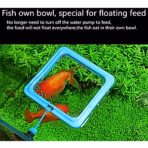 2 Pcs Fish Feeding Ring, Fish Safe Floating Food Feeder Circle Blue, with Suction Cup Easy to Install Aquarium, Square and Round Shape Fish Tank Towels - for Guppy, Betta, Goldfish, Etc. (Blue)¡­