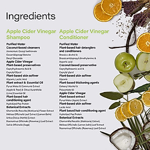 Phillip Adam Apple Cider Vinegar Shampoo and Conditioner Set for All Types of Hair - Sulfate Free - pH Balancing - 12 Ounce Each