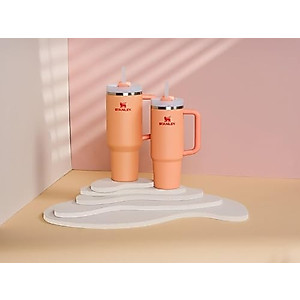 Stanley Quencher H2.0 Tumbler with Handle and Straw 30 oz | Flowstate 3-Position Lid | Cup Holder Compatible for Travel | Insulated Stainless Steel Cup | BPA-Free | Nectarine