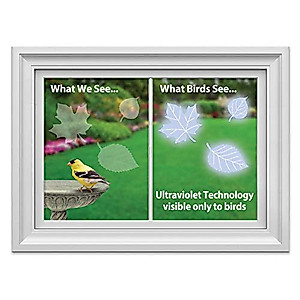 WindowAlert Leaf Medley Anti-Collision Decal - UV-Reflective Window Decal to Protect Wild Birds from Glass Collisions - Made in The USA