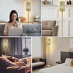 RAYINIGHT Gold Floor Lamp,Elegant Crystal Floor Lamp Modern Standing Lamp with On/Off Foot Switch,Tall Pole Accent Lighting for Living Room, Girl Bedroom, Dresser, Office