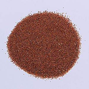 200+ Shepherd's Purse Seeds Non-GMO Vegetable Seed Heirloom Garden