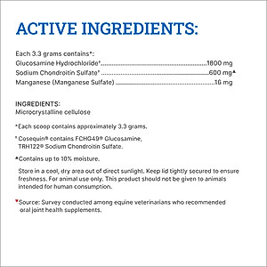 Nutramax Cosequin Original Joint Health Supplement for Horses - Powder with Glucosamine and Chondroitin, 280 Grams